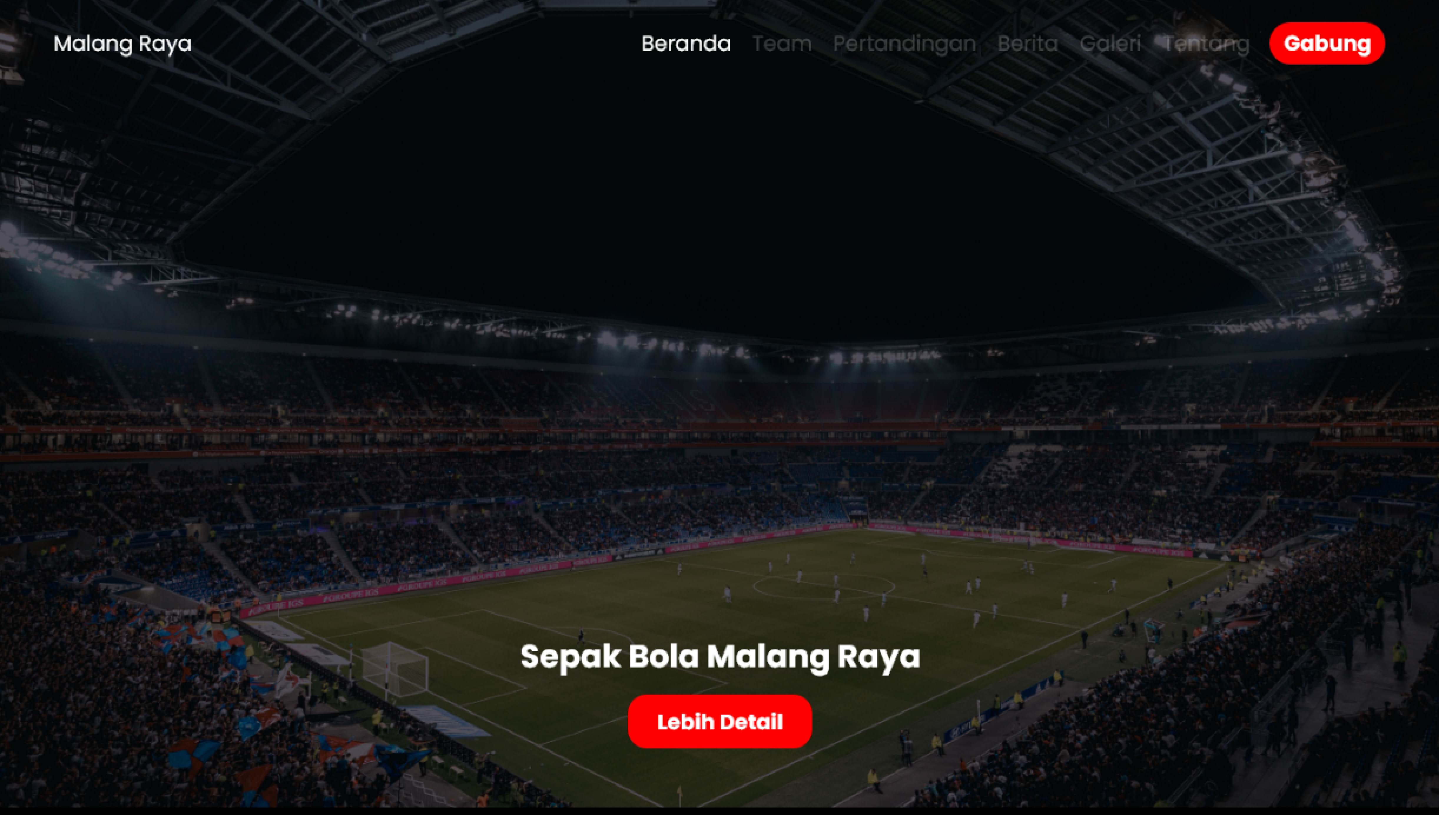 Portfolio Rian Ari Sasono